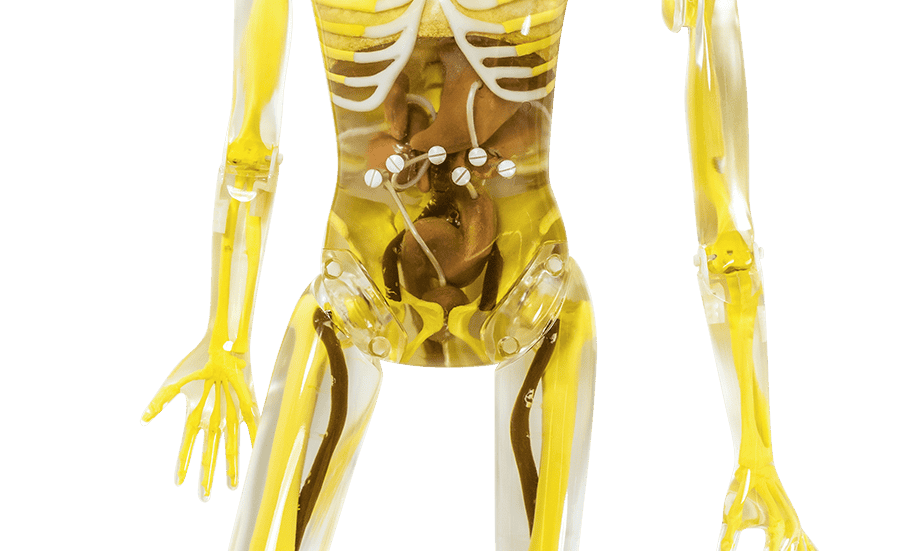 Radiology Support Devices Inc. - The Leader of Phantoms & Imaging