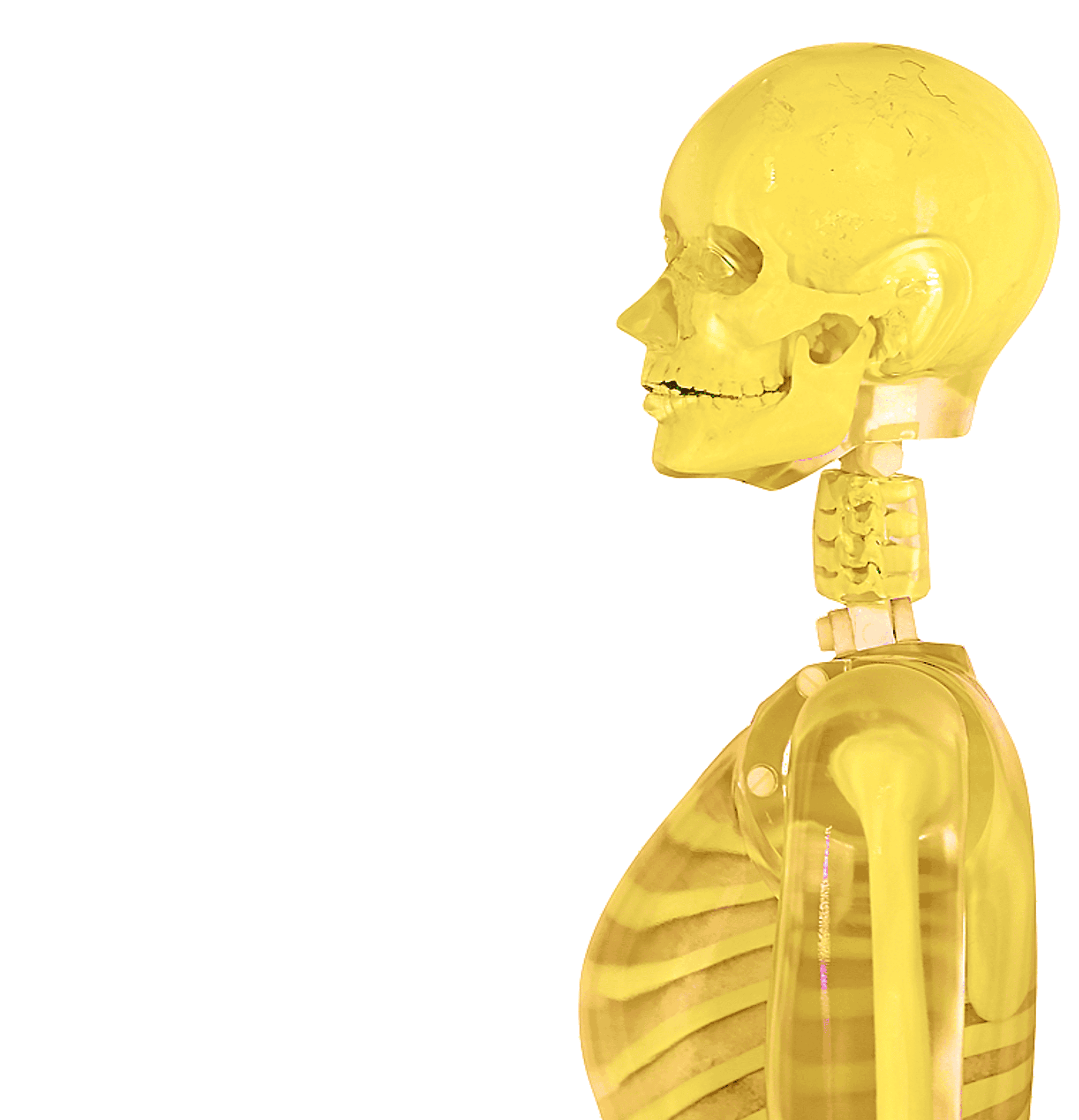 Book A Virtual Appointment With RSD Radiology Support Devices Inc book-a-virtual-appointment-with-rsd-radiology-support-devices-inc